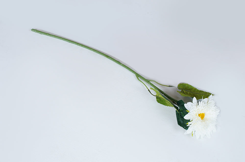DAISY FLOWER STEM – Oak.teak.store